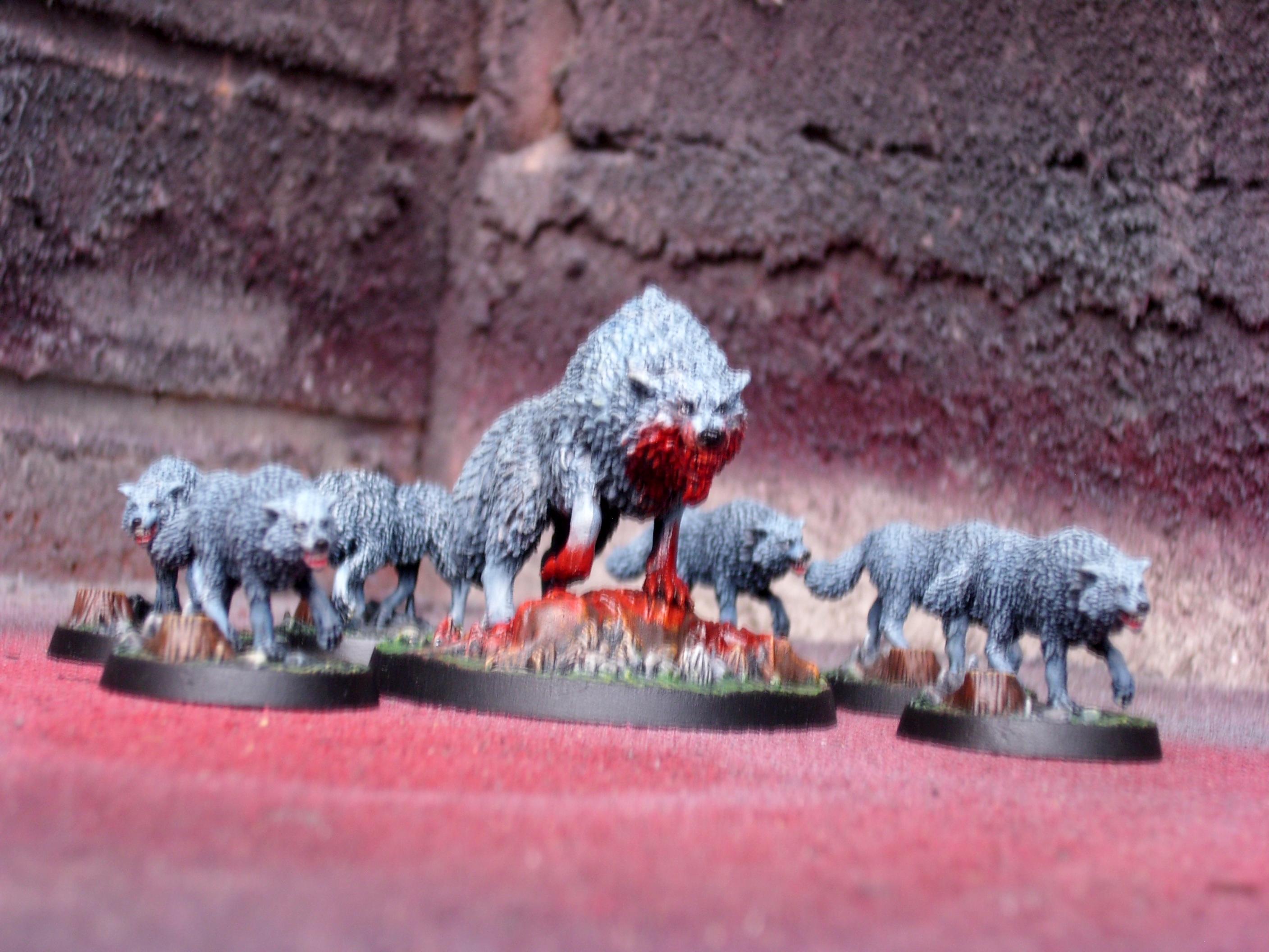 Giant Wolf, Rpg, Solomon Kane, Solomon Kane Board Game, Wolves - Wolves - Gallery - DakkaDakka